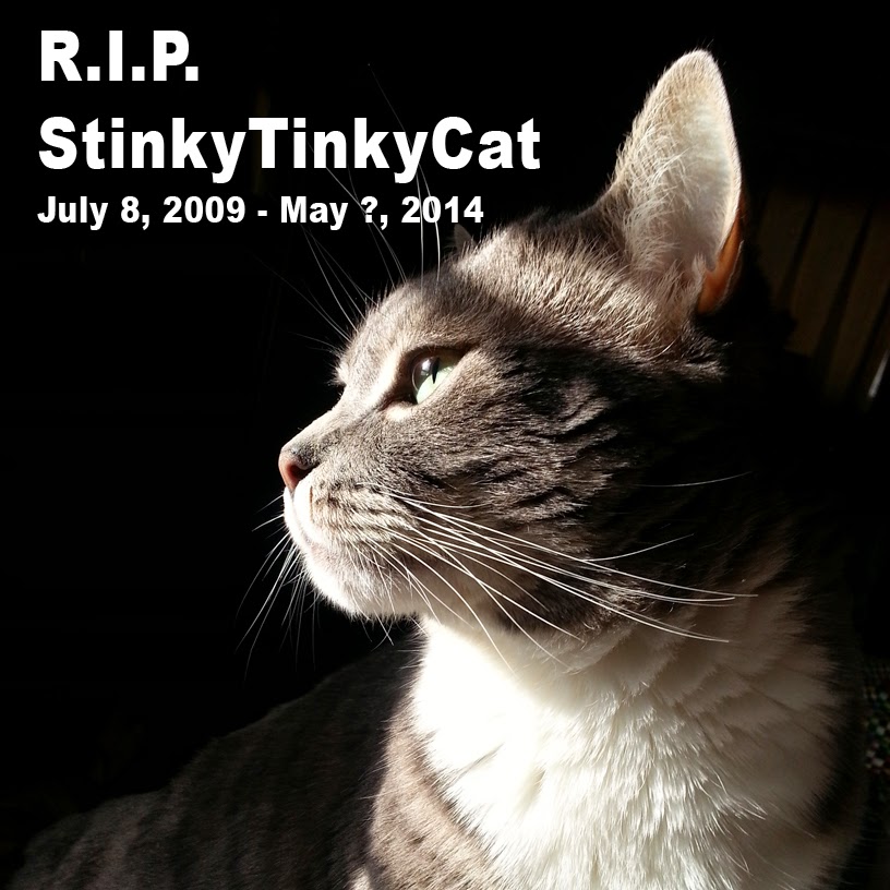 POP ART DIVA LAND: In Memory of STINKY TINKY CAT