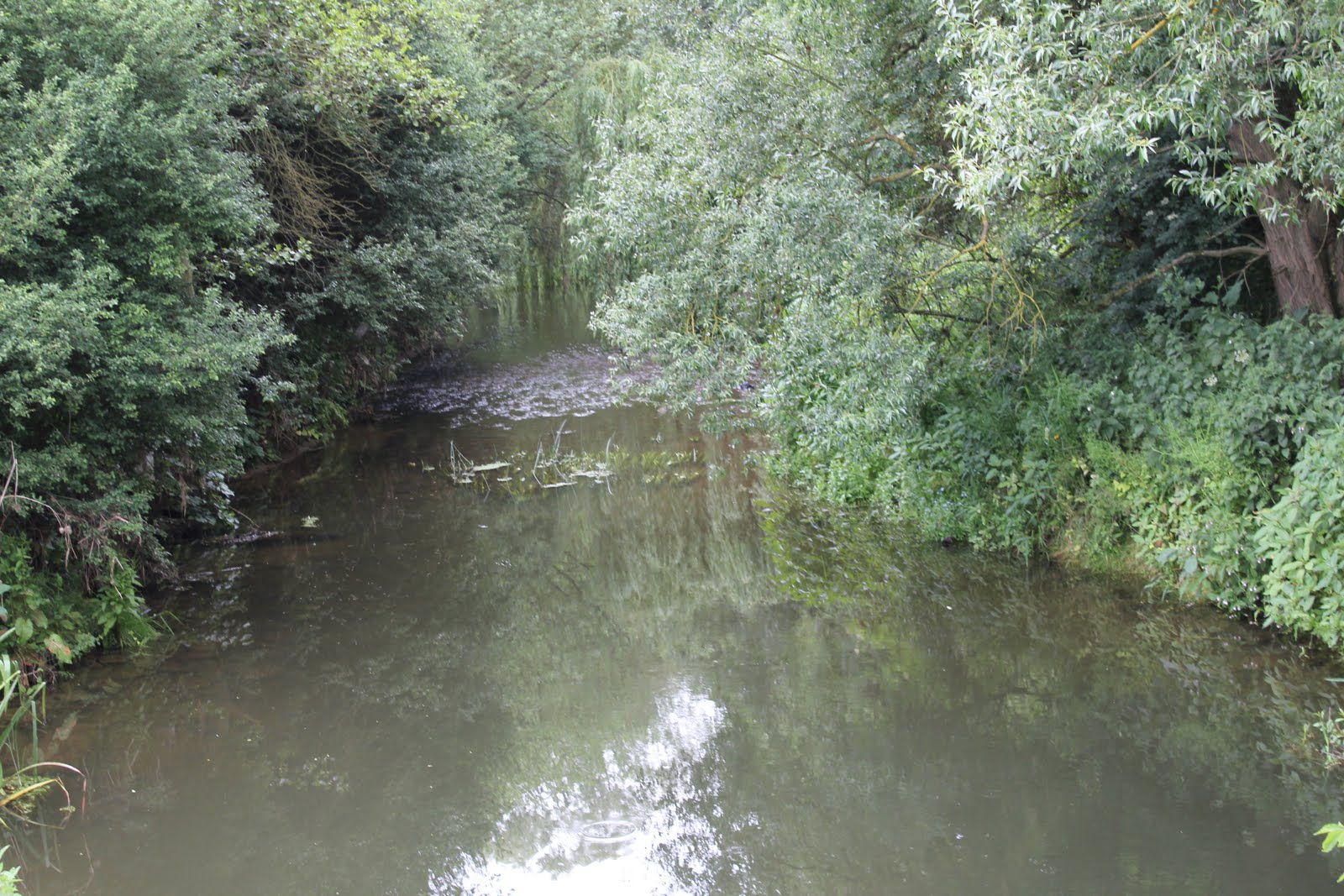 aliwalks : Badby to Nether Heyford along Nene Way