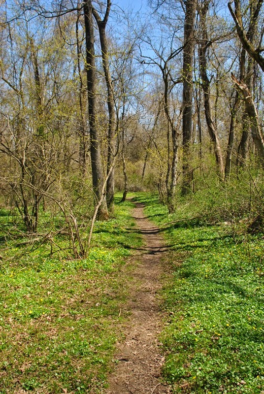 Southeastern PA Hiking: Binky Lee Preserve