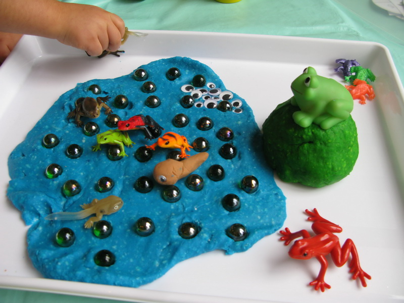 Live and play: Life Cycle of a Frog Sensory Play