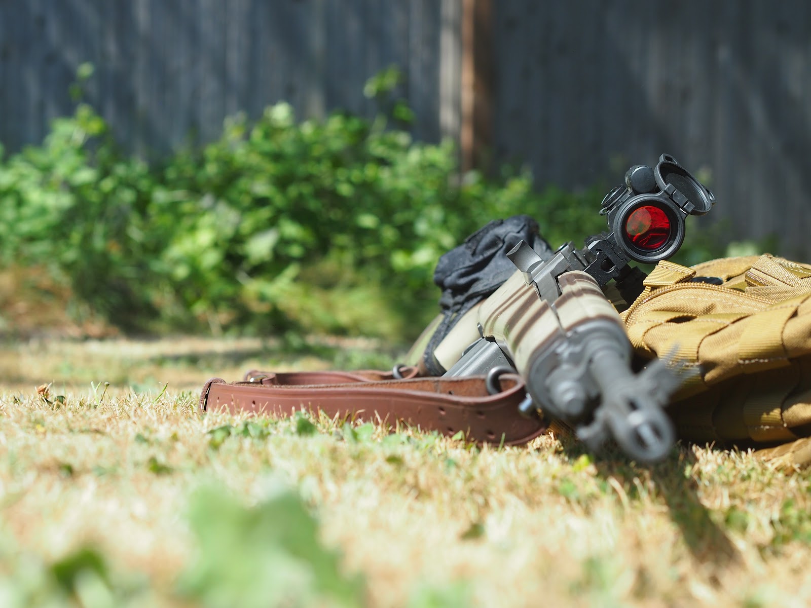 Mister Donut's Firearms Blog: M14 with Aimpoint PRO