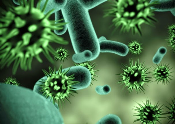 Fundamentos de Virología | CourseField