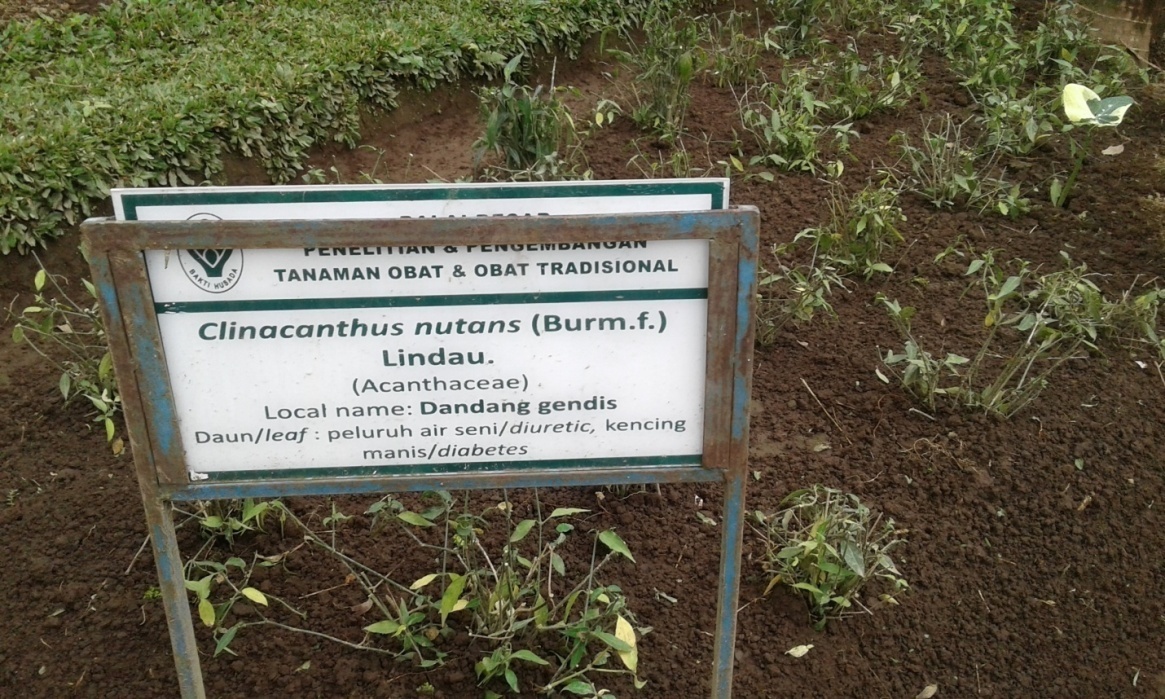 Nama-nama Simplisia 3 - Farmakognosi Simplisia