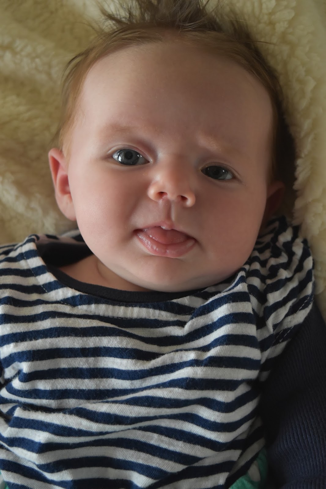 The Ward Crew (continued)............: Big Spirit, Little Body