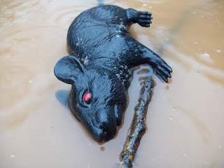 Bob's Blogs: The Many Adventures of Bob the Rat: Drowned Rat