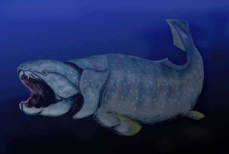 El Foro del Paleontólogo: Dunkleosteus