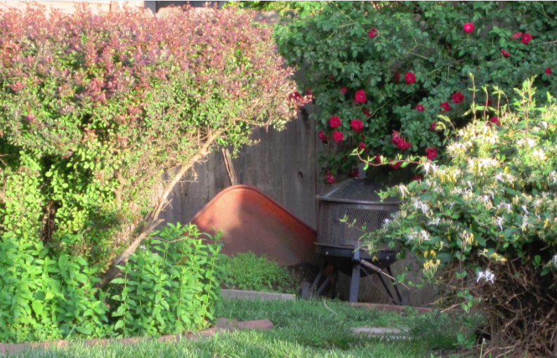 On Crooked Creektt: The Heirloom Garden.