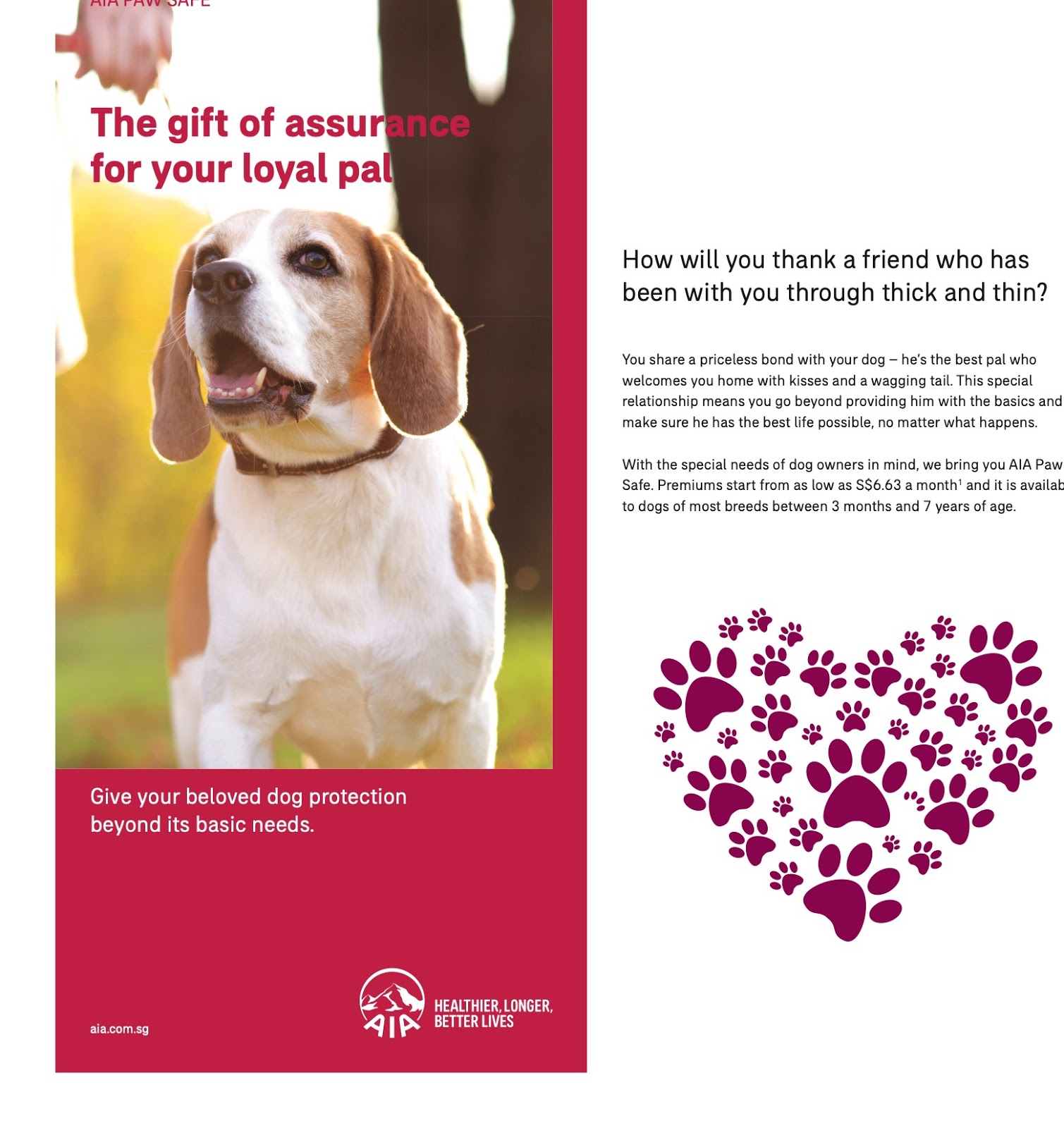 Insurance Brochure: AIA PAW SAFE