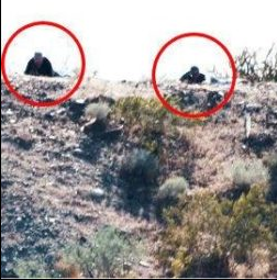 THE WESTERNER: BLM & FBI Exposed or How the Bundy’s Got Out Of Prison