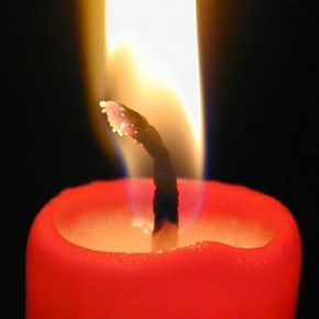 Ensalada de palabras: PÁBILO