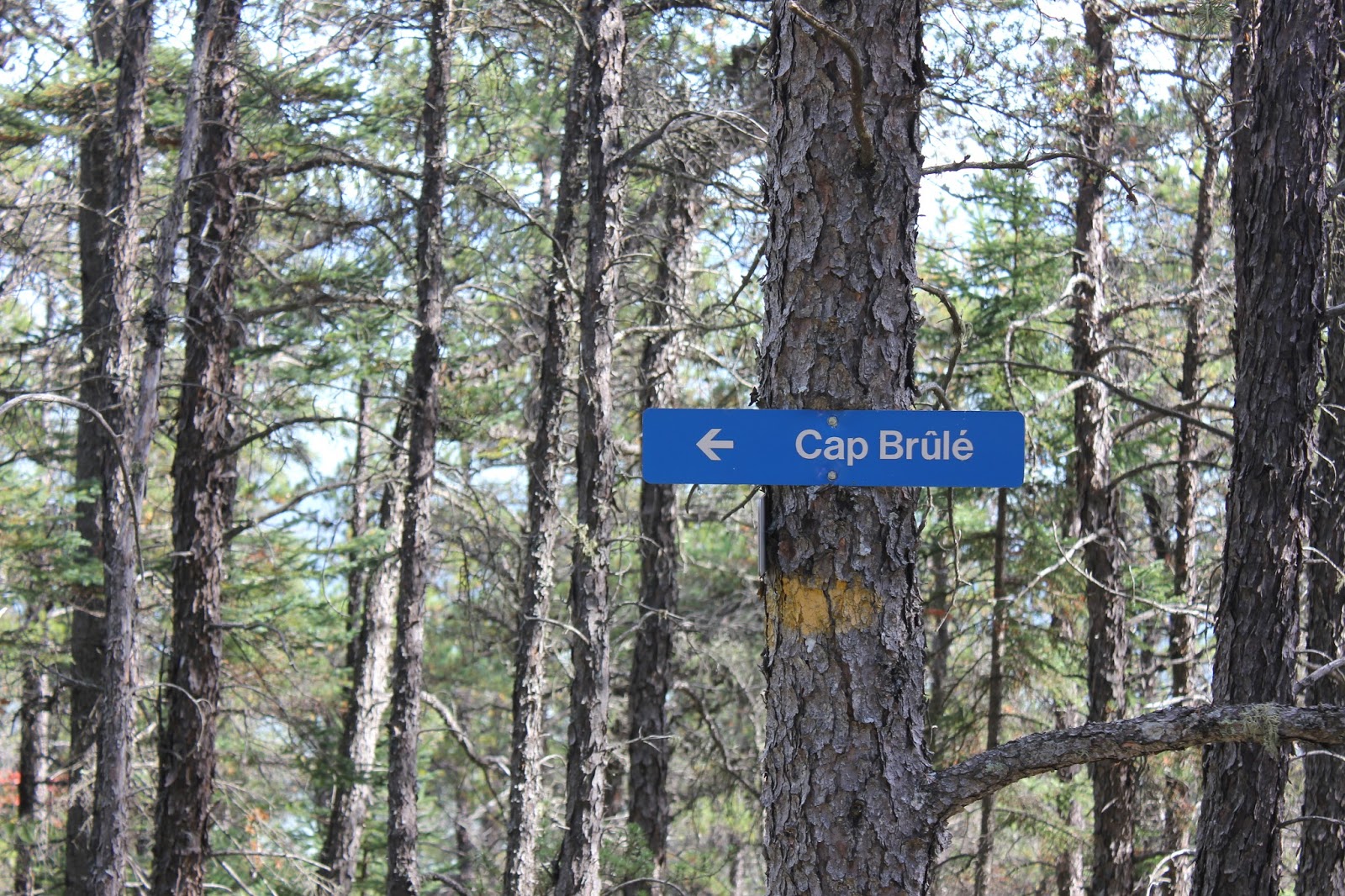 Par-ci, par-là, etc.: Sentier des cap - Sentier du cap brulé.