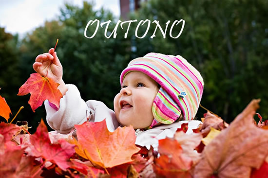 Bem-Vindo Outono ! 38 Imagens para vc se inspirar