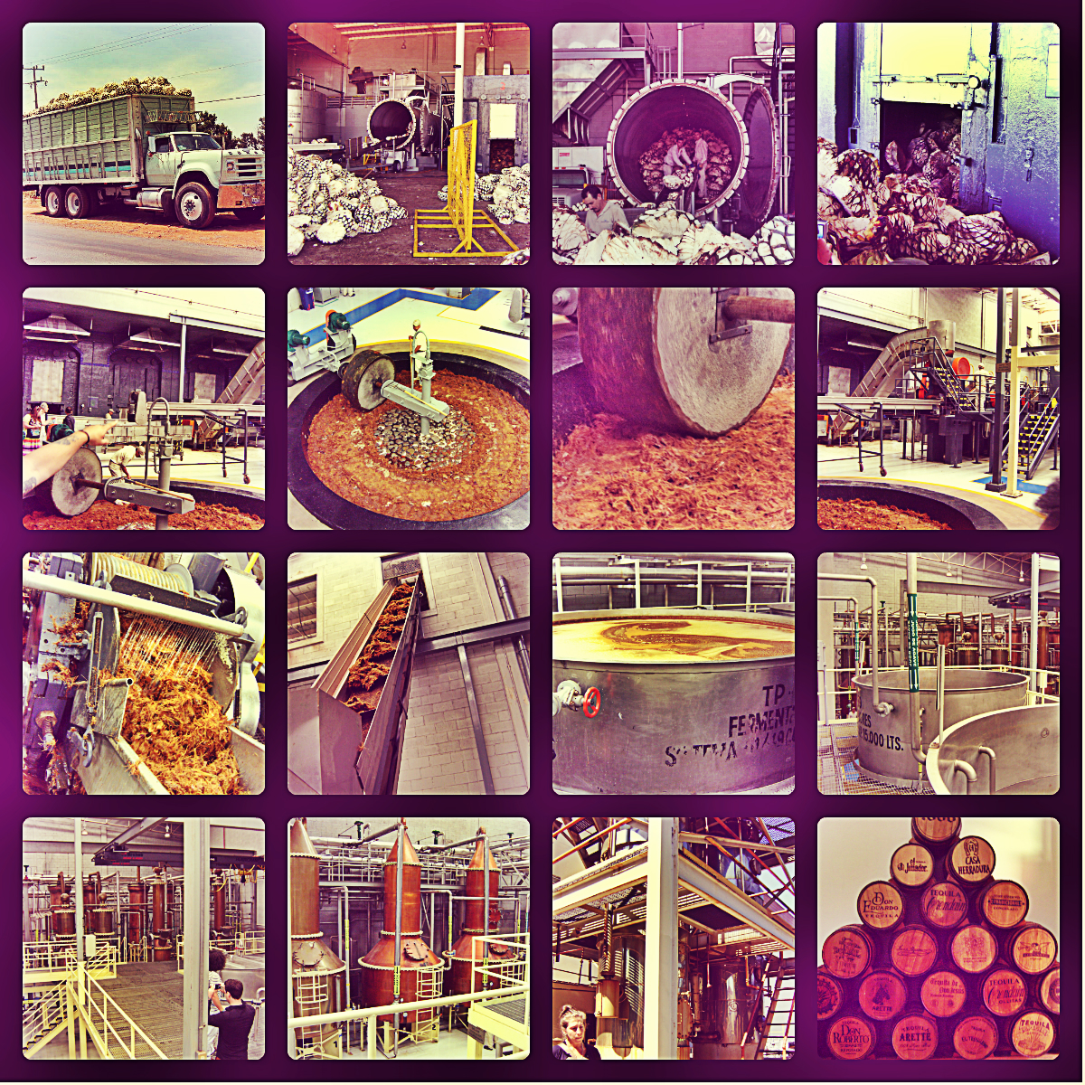 Me, My Drinks and I: Tequila Production Process