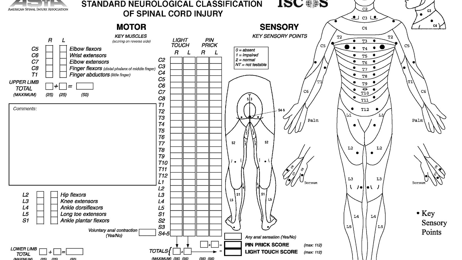 C1 C2 Spinal Cord Injury - Injury Choices