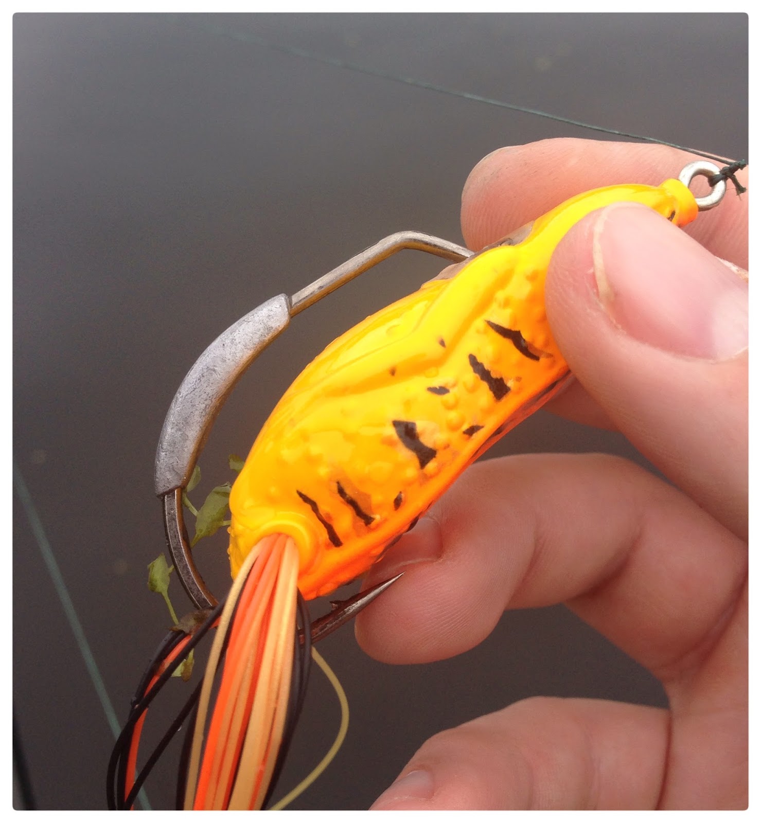 Bass Junkies Frog Pond: Sebile Action First Pivot Frog Review