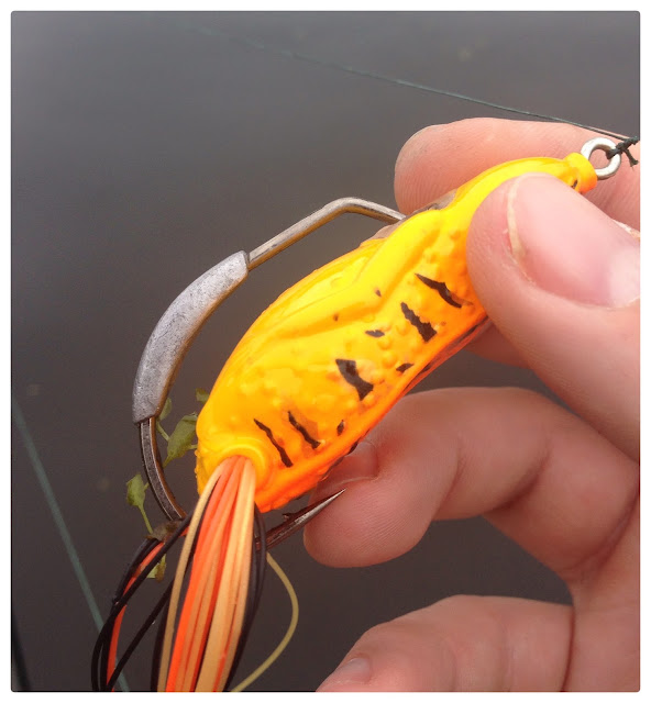 Bass Junkies Frog Pond: Sebile Action First Pivot Frog Review