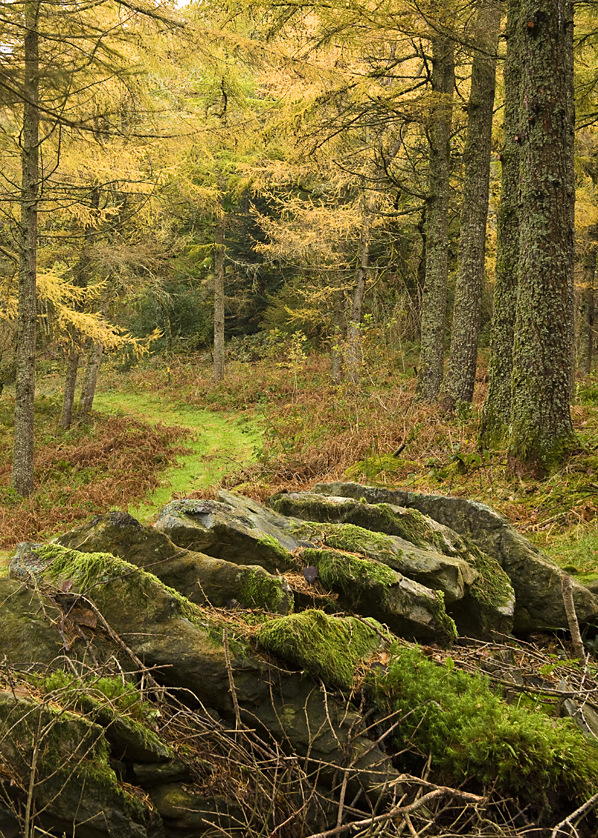 phils photographic adventures: A Stunning Autumn in Snowdonia national ...