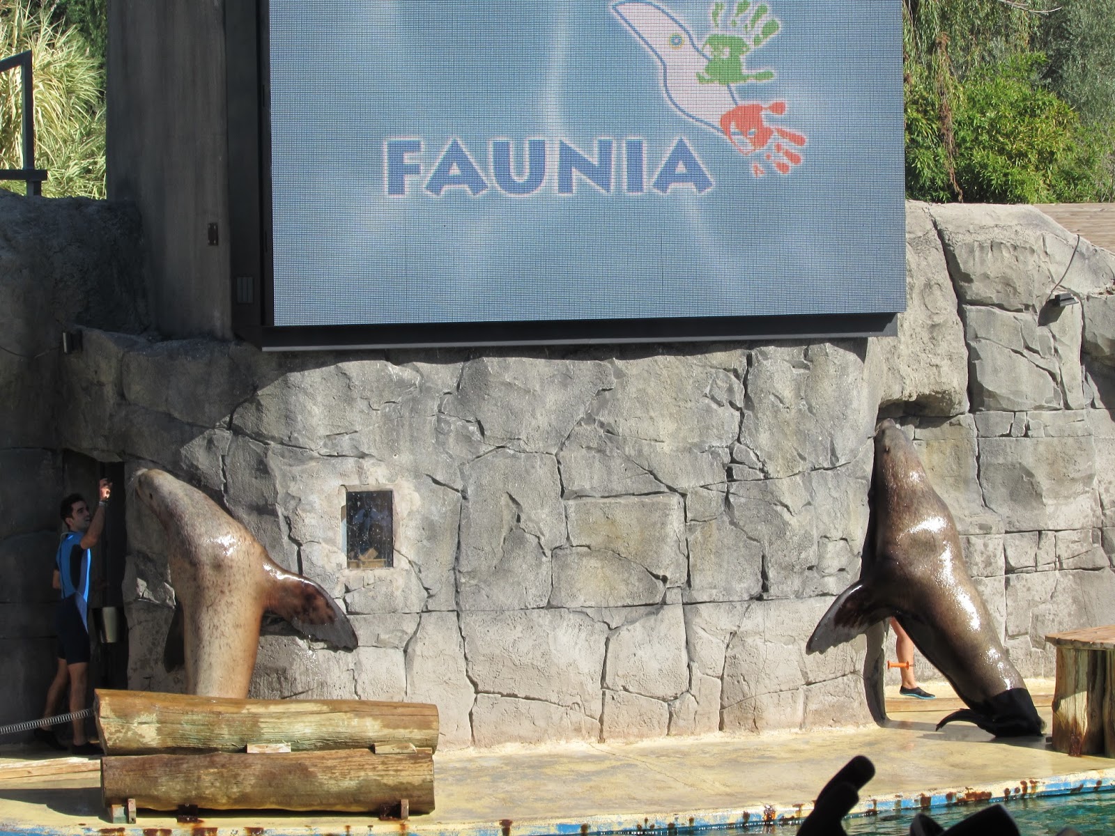 Mis niños y mis libros: Visitando Faunia. Todo lo que me hubiera ...