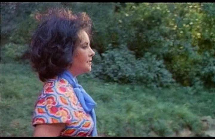 ELIZABETH TAYLOR: (1932-2011) WEB SITE: Identikit (The Driver's Seat ...