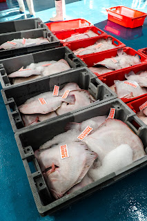 Through the Gaps! - Newlyn Fishing News: Mid-week fish market in Newlyn ...