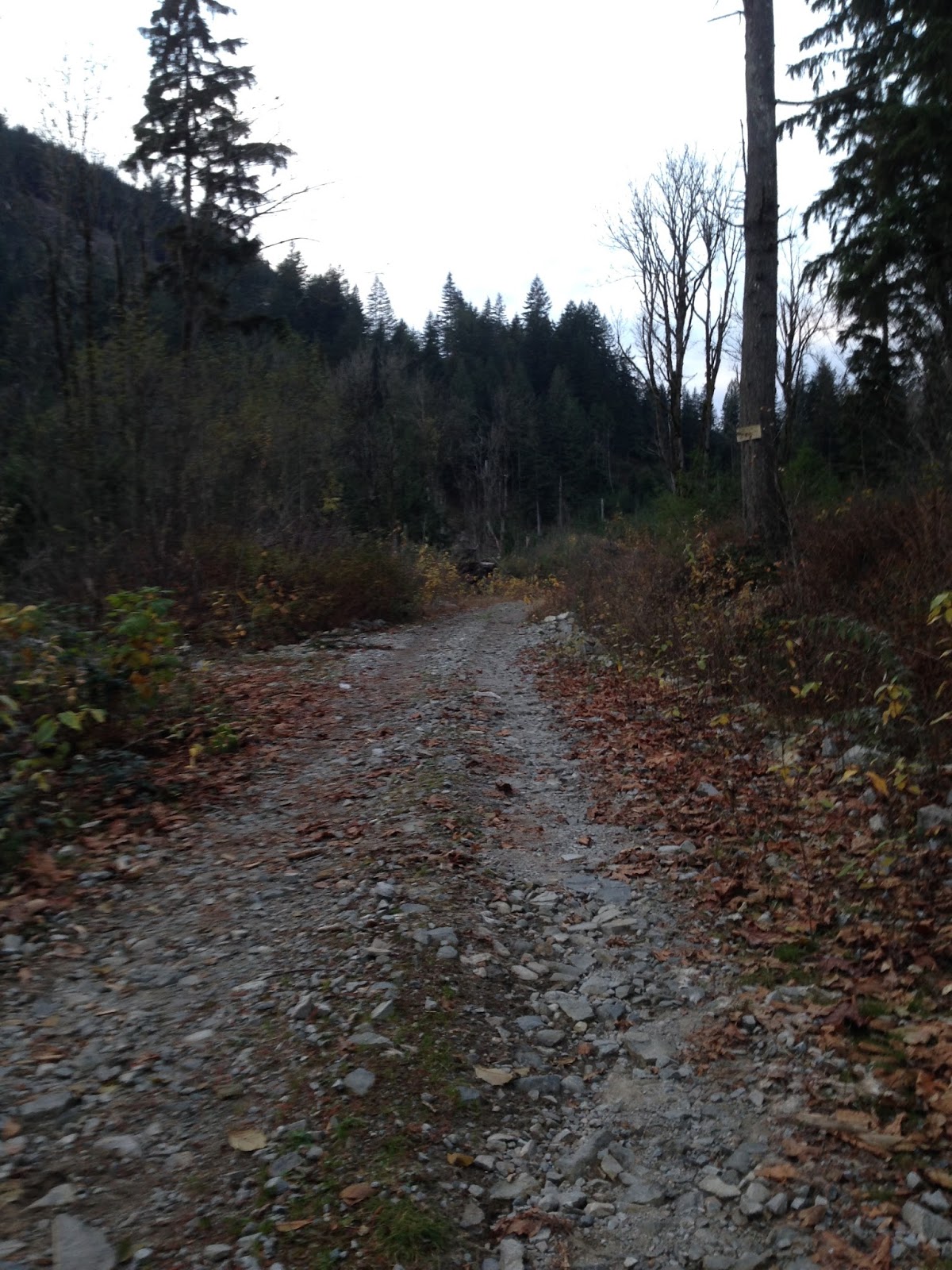 The Hapa Canadian: Dewdney Grind + Dewdney Peak, BC in November