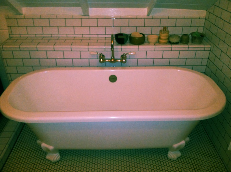 meet the shaffers.: Life of the POTTTTTT TTTTTY.