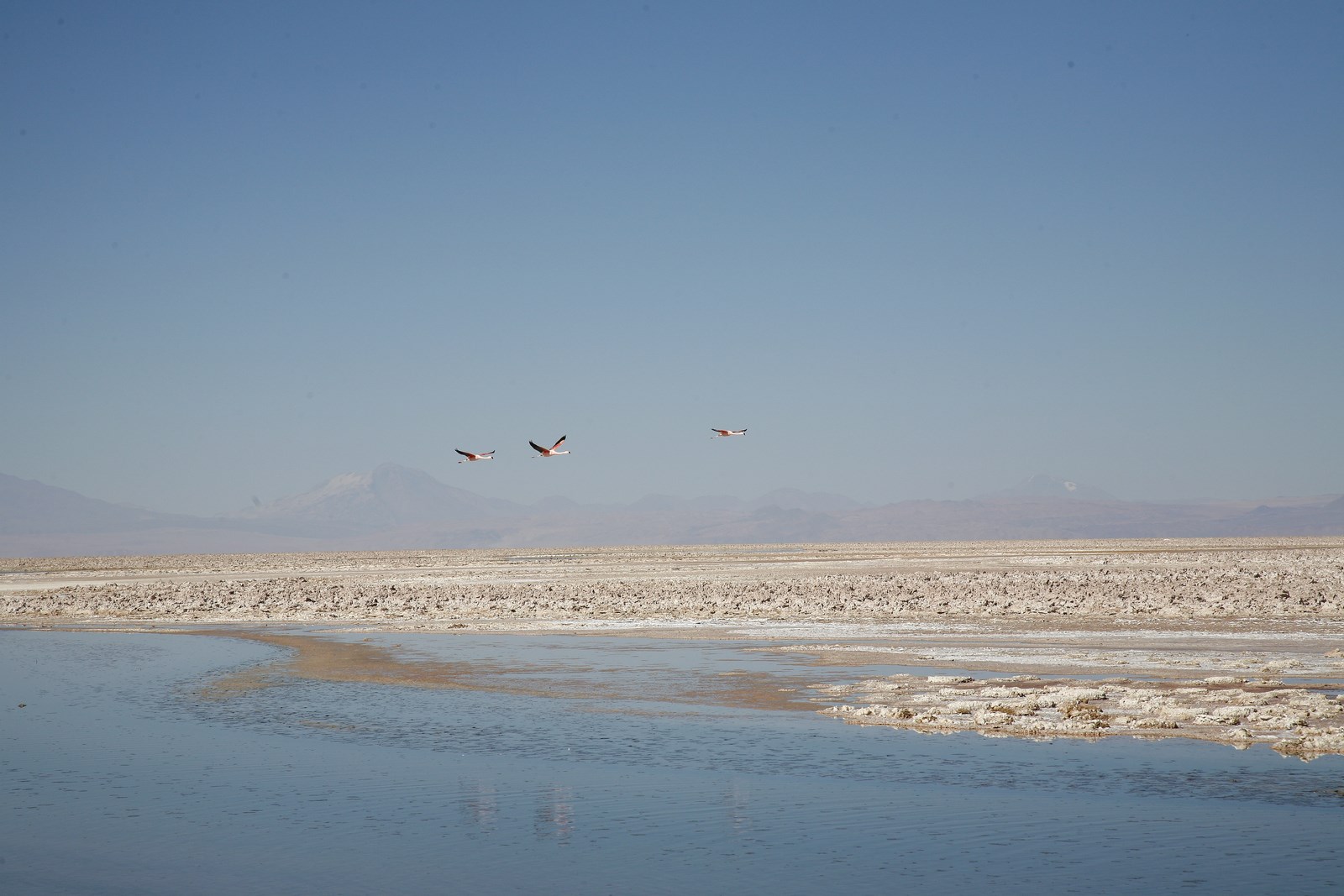 CHILE DE NORTE A SUR: SALAR DE ATACAMA - CHILE