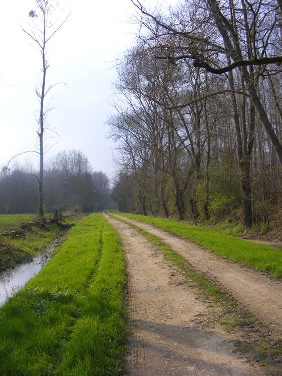 Loire Valley Nature: Bocage