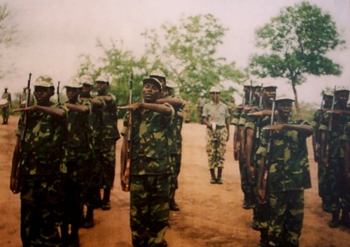 Guerrillas in the Midst: Miscellaneous Groups in Africa