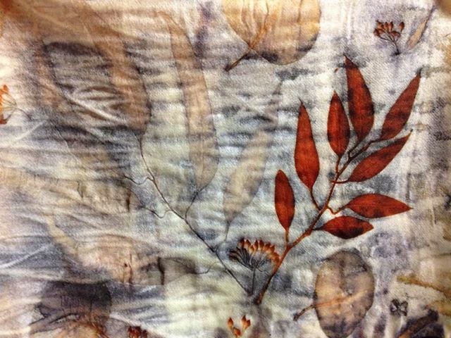 Terry Shearn Fiber Arts: Botanical Dye
