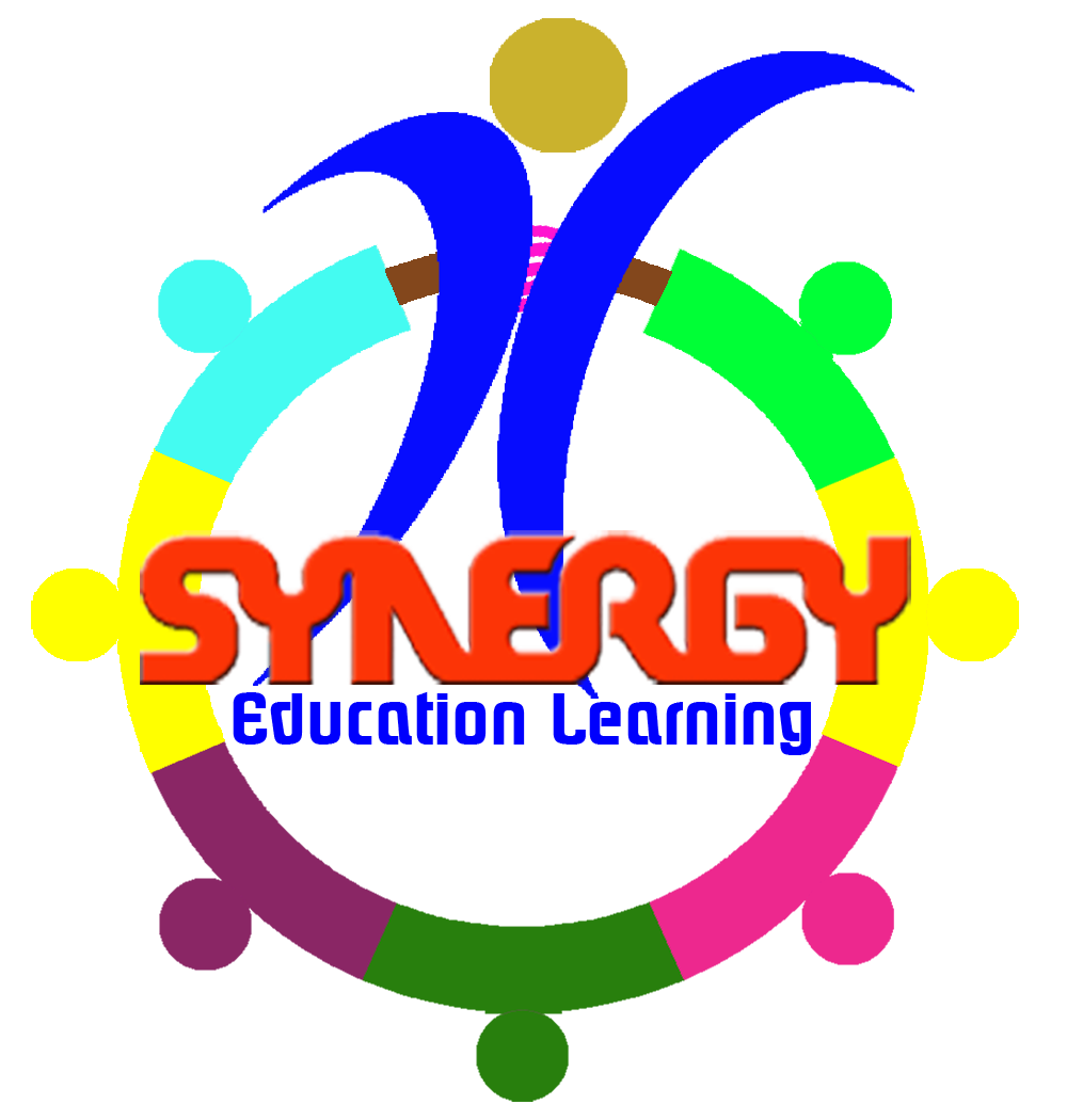 LEMBAGA TERAPI ANAK BERKEBUTUHAN KHUSUS: Profil Synergy Education Learning