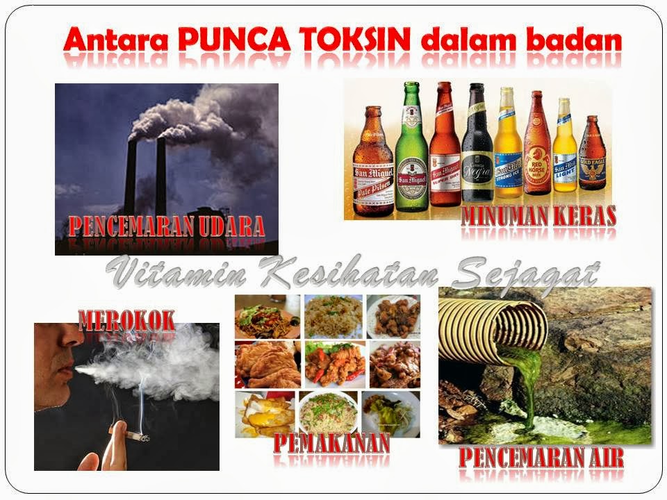 Bahaya Toksin Dalam Badan - Eina Md Ali - Pengedar Shaklee | Kedai ...