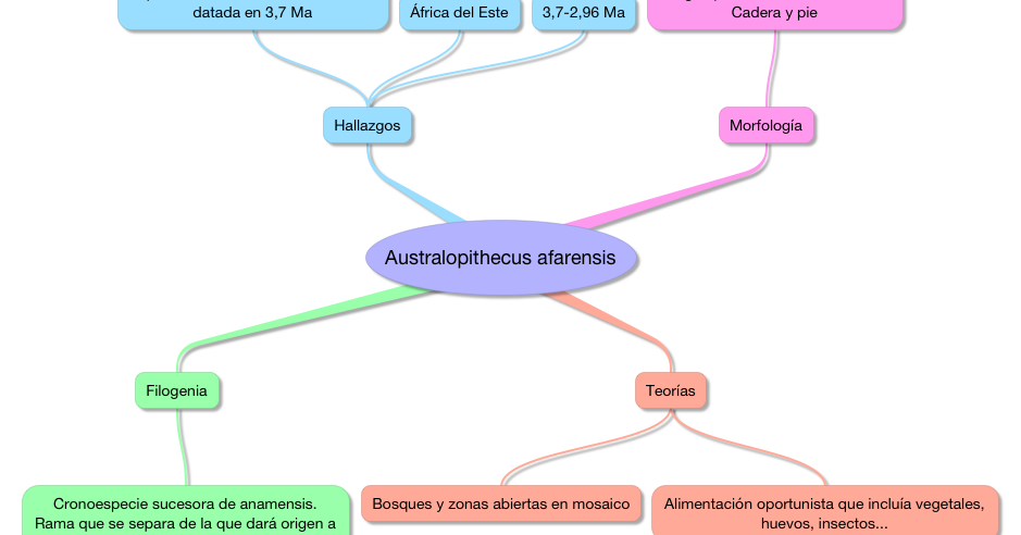 Paleoantropología hoy: Australopithecus afarensis