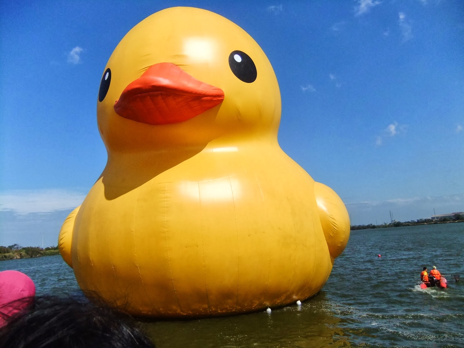 The Taiwan Adventure: That is one BIG Duck