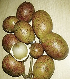 vcanfit สุขภาพดีได้..ง่ายจัง: Crystal Longan : เงาะไม่มีขน..ปนลำไยยักษ์