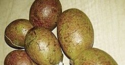 vcanfit สุขภาพดีได้..ง่ายจัง: Crystal Longan : เงาะไม่มีขน..ปนลำไยยักษ์