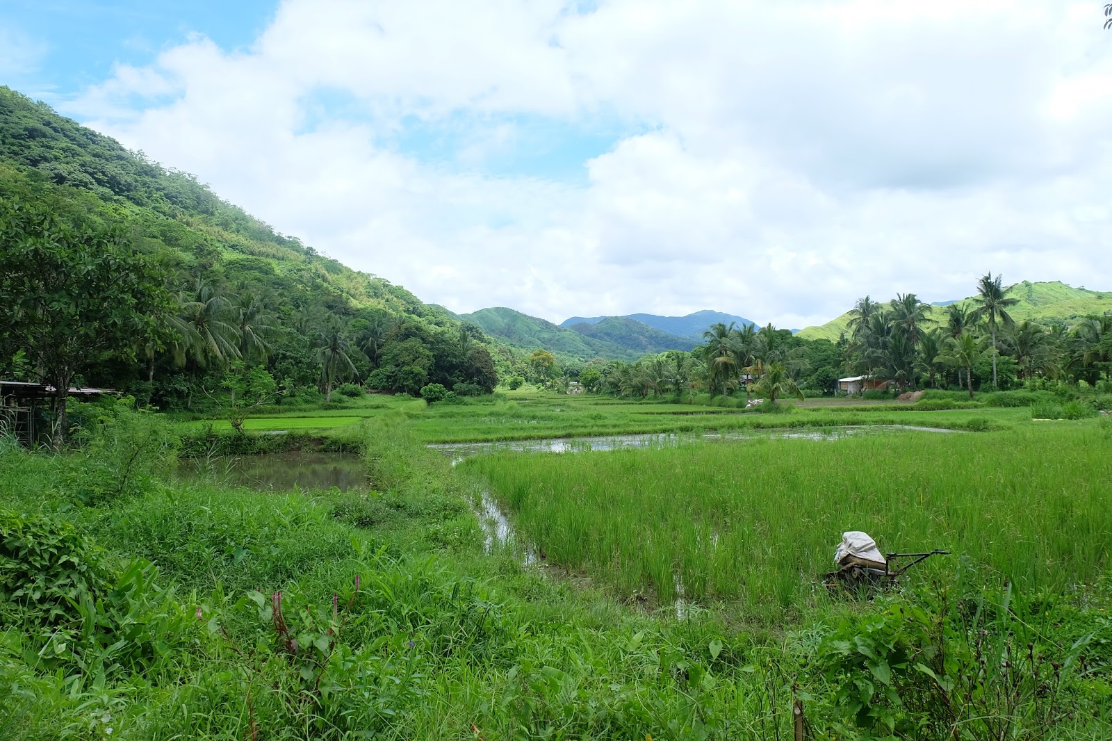 Mt. Cayabu and Mt. Maynoba Traverse to 8 Wonder Falls - From The ...