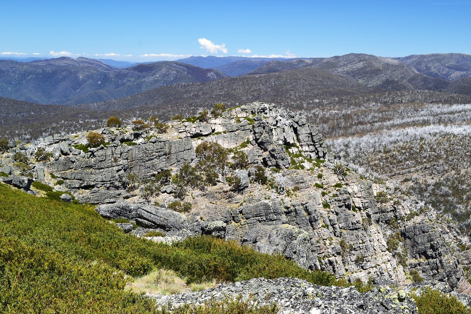 Goin' Feral One Day At A Time: Mount Cobbler, Alpine National Park ...