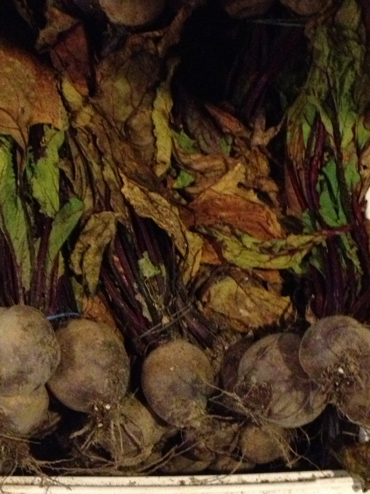 Slone Ranger: Stachowski Market, it's what's for Dinner