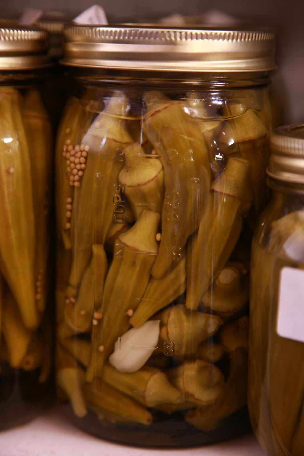 News from the University of Georgia Press: Making the Case for Okra