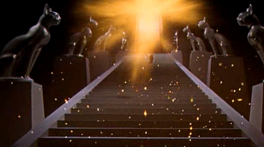 Started By A Condor: The Three Lives of Thomasina