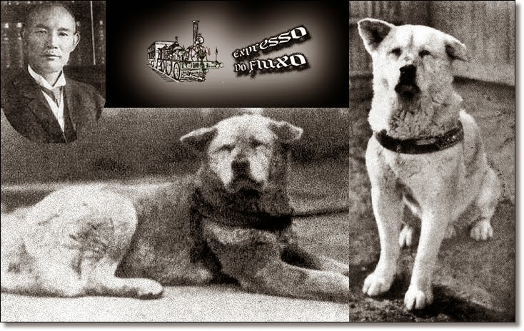 The Pet Tree House - Where Pets Are Family Too : Do You Know the Story ...