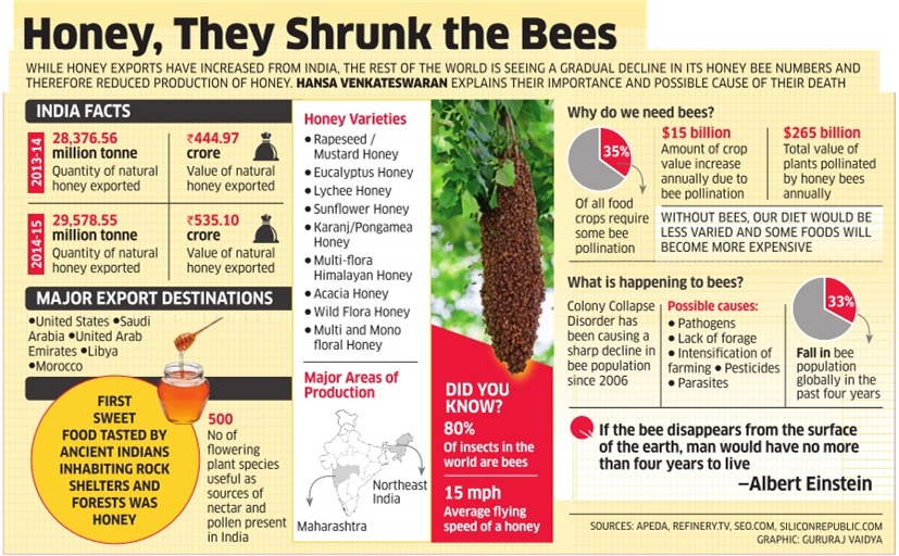 Honey Bees | Apiculture in India ~ Fantastic Fundas