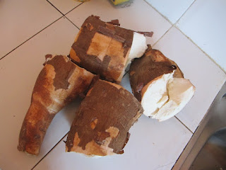 WANAUME:: FAIDA ZA KULA MIHOGO MIBICHI KARANGA MBICHI NA NAZI HIZI HAPA ...