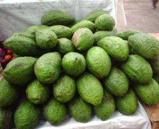 Noticias en Linea de Tabasco: EL FAMOSO CHININ CONOCIDA COMO LA ...