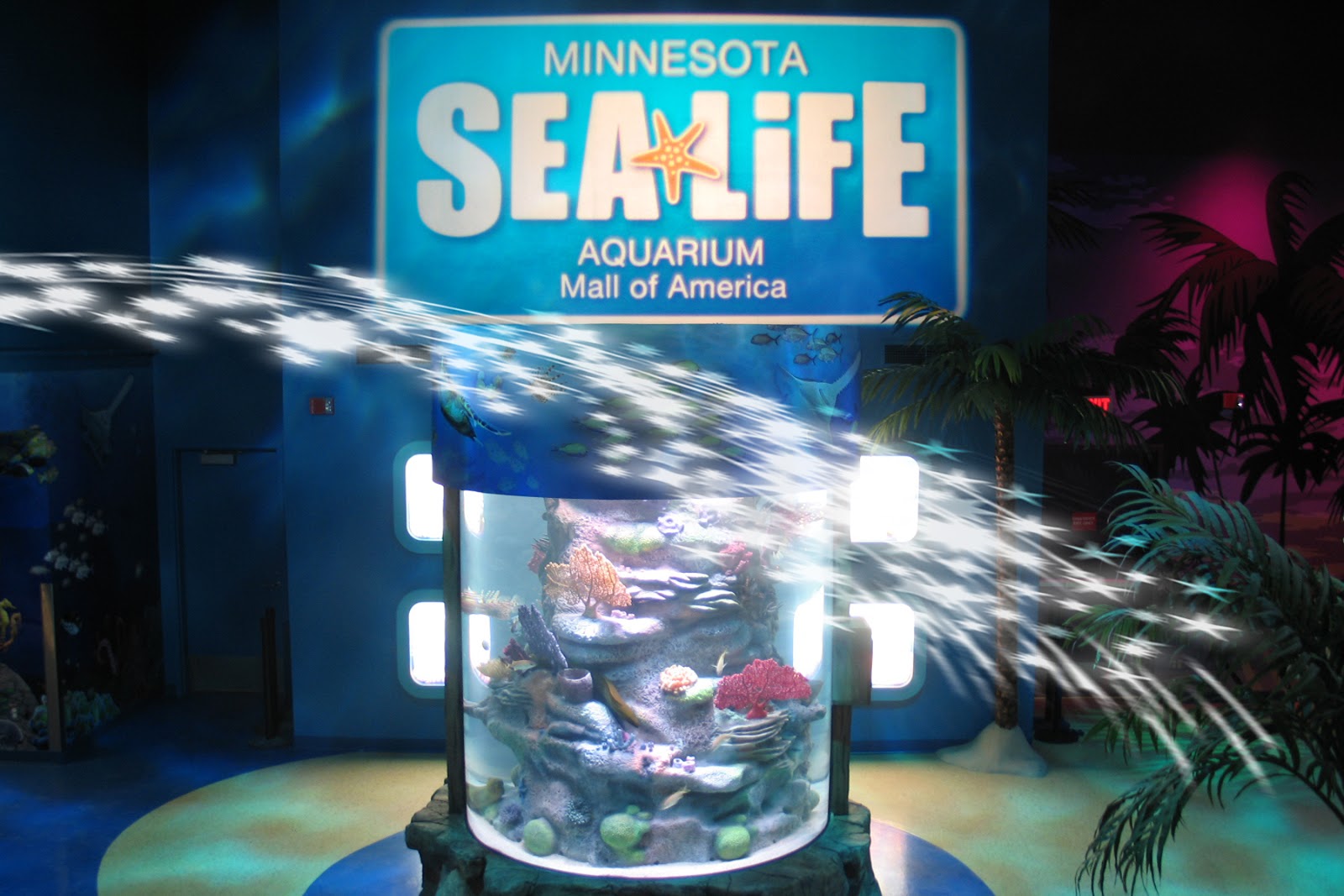 SEA LIFE Minnesota Aquarium