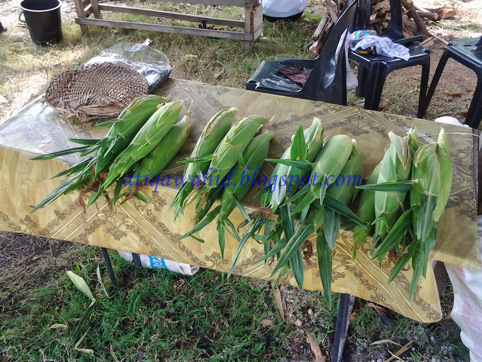 Nyummm2 Jagung Bakar Lokan Bakar Dengan Kelapa Bakar ~ Atiqa Wahid
