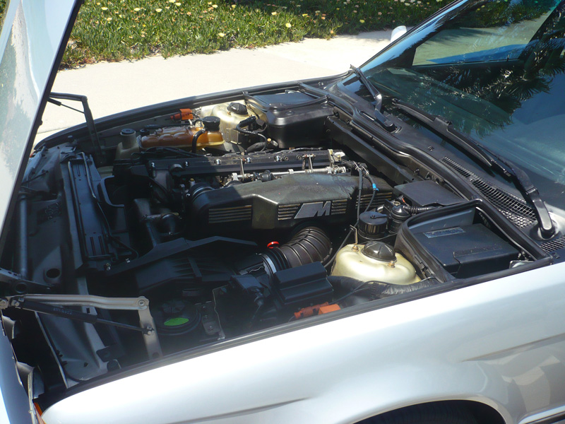 My 1991 BMW E34 M5: BMW M5 S38 Race Engine