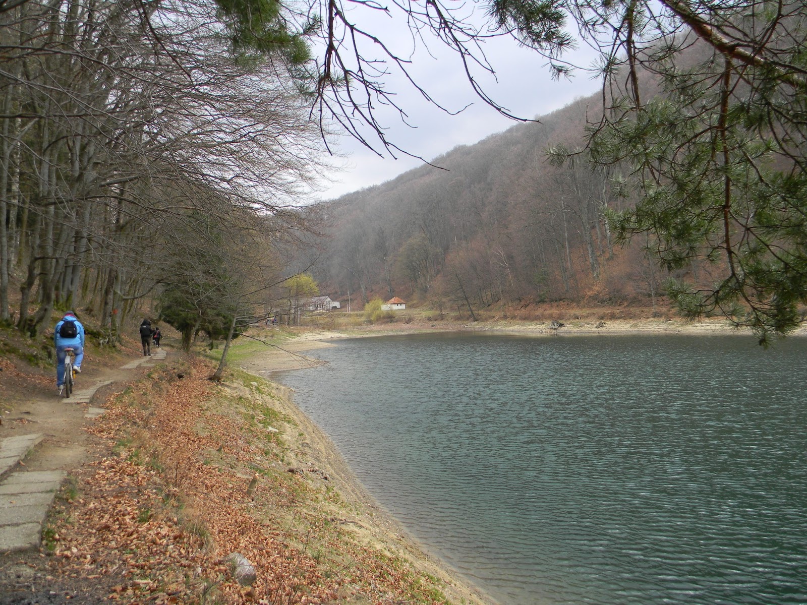 Blog de Calatorii si Drumetii Montane.: Lacul de la Codlea ,jud.Brasov ...