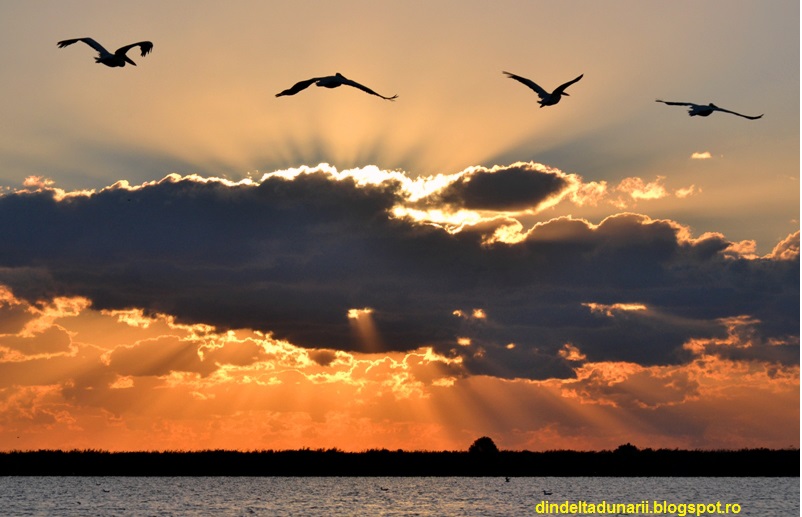 Din Delta Dunării: Murighiol